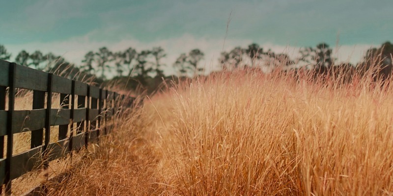 Gatehouse Church : Bio - Neil Bromage